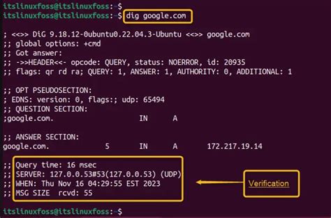 How To Fix Curl Could Not Resolve Host Error In Linux Its Linux FOSS