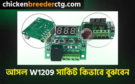 আসল W1209 Controller কিভাবে বুঝবেন দেশি মুরগি ব্রিডার চট্টগ্রাম