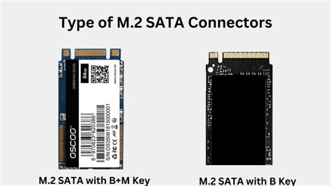 M2 与 Msata Ssd 外形：它们有何不同？ Oscoo