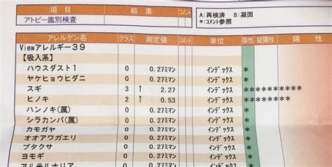 アレルギー検査報告書 60代を美しく生きる