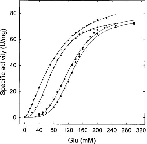 Effect Of Succinate On The Sigmoidal Dependence Upon Glutamate