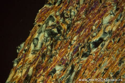 Chlorite Thin Section Phyllosilicates Microckscopic