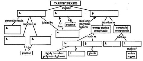 Unit 1 Test Ap Biology Diagram Quizlet