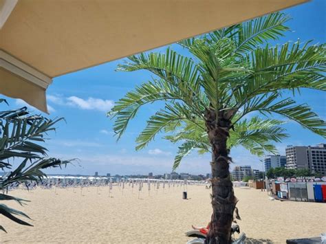 Сезонни работници от Непал и Шри Ланка избягаха от Слънчев бряг Информационна агенция ПИК