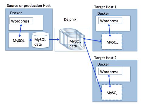 Docker Containers And Delphix Architecture Delphix By Perforce