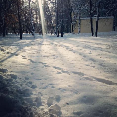 Мороз и солнце День чудесный