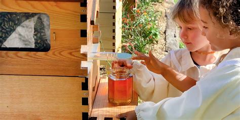 How Long Does It Take Before I Can Drain The Honey From The Flow Hive