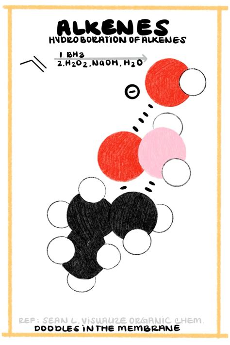 Halogenation Of Alkenes X2 Organic Chemistry Reaction Animation Doodles In The Membrane Artofit