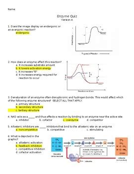 Enzyme Quiz With Key By Science Corner TPT