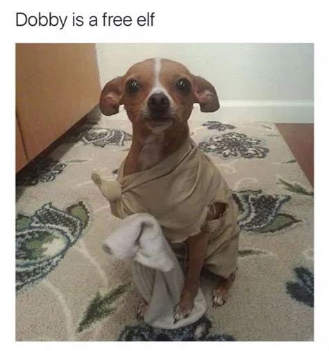 My Heart Gahhh Album On Imgur