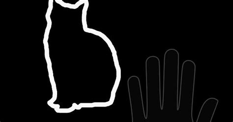 Lost Cat Picture Meme Help Plz Album On Imgur