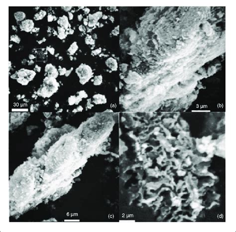 A Low Resolution Sem Image Of The Wc Sample B Cross Sectional