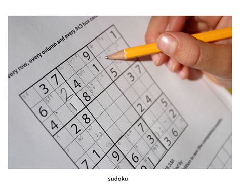 Sudoku Noun Definition Pictures Pronunciation And Usage Notes Oxford Advanced Learner S