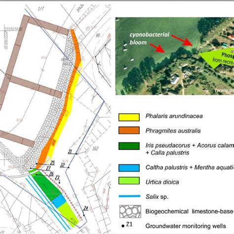 Conceptual Project To Enhance The Buffer Zone Download Scientific Diagram