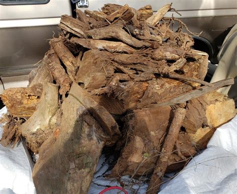Root Problems Pro 1 Landscaping