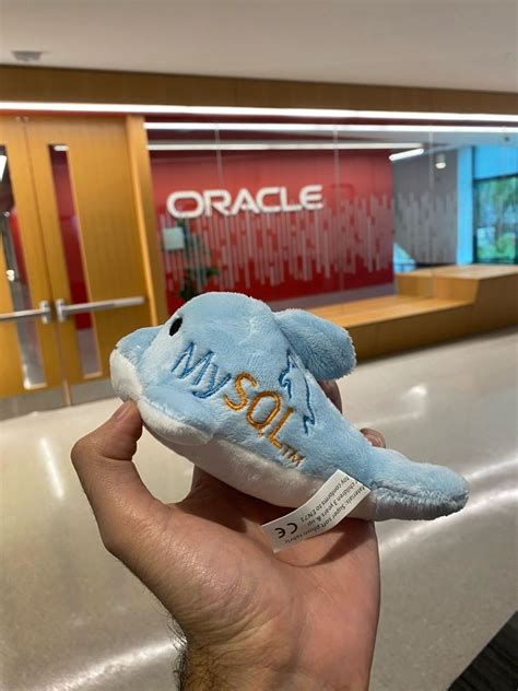 Abdullah Al Khafaji On Linkedin Immensely Enjoyed The Oracle Mysql