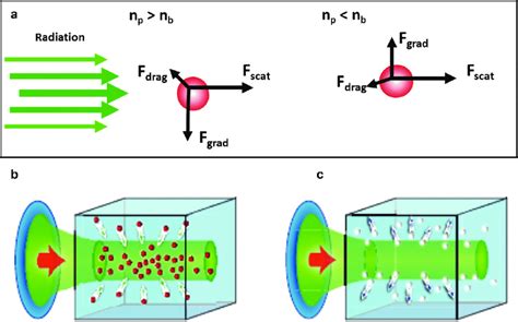 Schematic Illustrations Of Light Particle Interactions In Colloidal Download Scientific Diagram