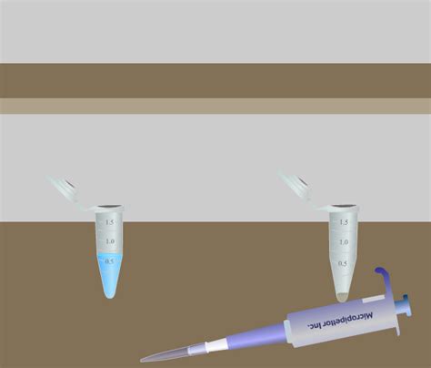 Dna Extraction Forensic Science