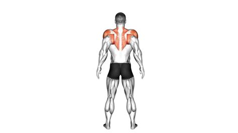 9 Effective Scapular Retraction Exercises For Improved Shoulder