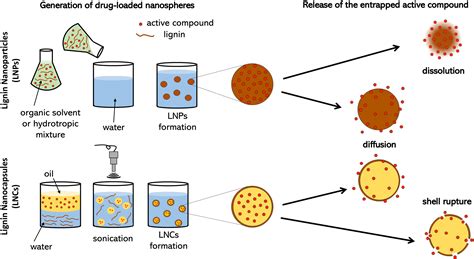 Frontiers Lignin Based Nano Enabled Agriculture A Mini Review