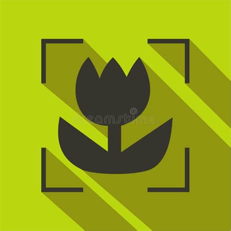 Macro Lens Mode Icon Flat Style Stock Illustration Illustration Of Frame Focus 125948016 Macro Lens Mode Icon Flat Style Stock Illustration Illustration Of Frame Focus 125948016