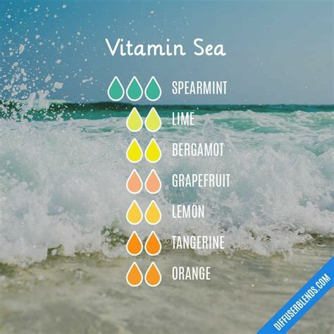 Just Beachy Diffuser Blend Young Living Artofit Just Beachy Diffuser Blend Young Living Artofit