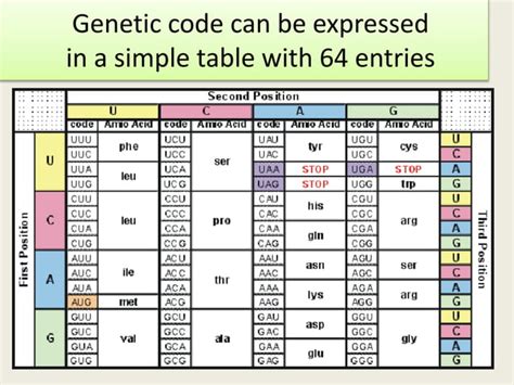 Genetic Code Ppt PPTX Programming Languages Computing