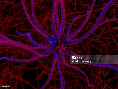 Vaskular Tanaman Akar Halus Tampak Seperti Jaringan Saraf 3d Foto Stok