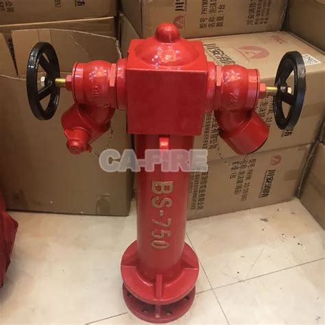 Bs750 2 Way Pillar Type Fire Hydrant For Firefighting Fire Hydrant And Hydrant