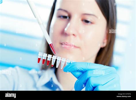 MODEL RELEASED Female Lab Technician Using Pipette And Micro Tubes Stock Photo Alamy