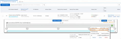 Back Up Ecs Instances Cloud Backup Alibaba Cloud Documentation Center