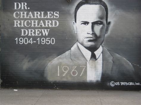 Dr Charles Richard Drew Quotes Quotesgram