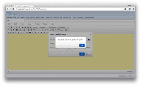 Image Upload Using Ext Js Tinymce Editor