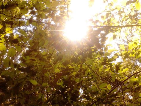 Sunshine By Vivianne11 On Deviantart