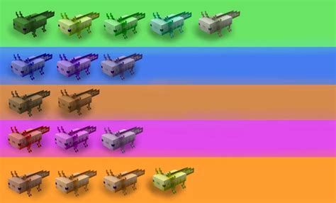 More Axolotl Colors Minecraft Texture Pack