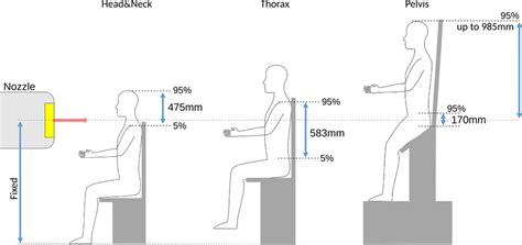 Schematic Overview Over Different Postures A Straight Upright