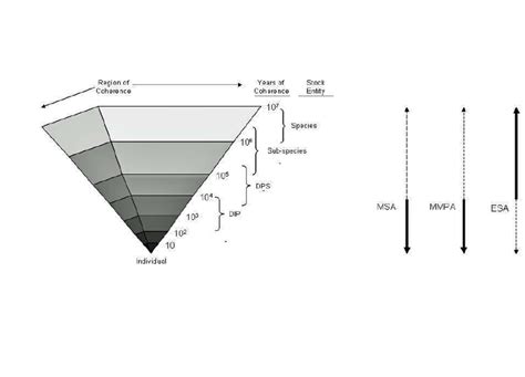 Conservation Units Of The Mmpa Msa And Esa Depicted As A Continuum Of