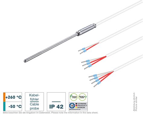 Cable Probe Stepped With Pfa Cable Testo Sensor English