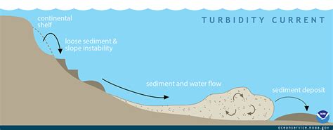 What Is A Turbidity Current