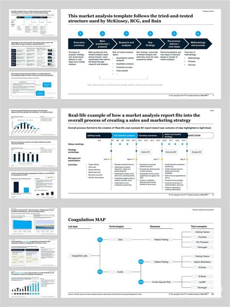 Mckinseys Professional Market Analysis Framework Powerpoint Presentation Lan Shen