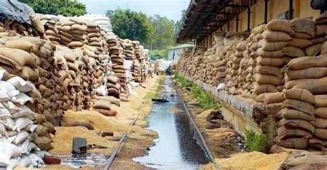 Rajesh Kumar Mishra On Linkedin World Top Rank University To The Grass Root Rural University Of