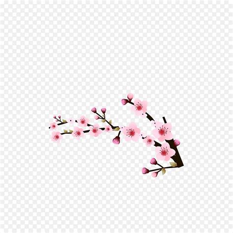 矢量手绘植物粉色梅花PNG图片素材下载 图片编号8274895 PNG素材网