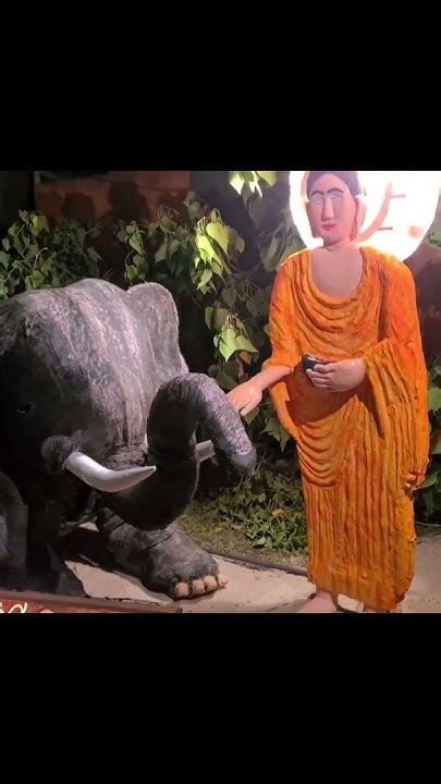 ත්‍රිකුනාමලේ වෙසක් අසිරිය 2024 Wesak Viralvideo Visitsrilanka Shortvideo 🌕 Fypシ With