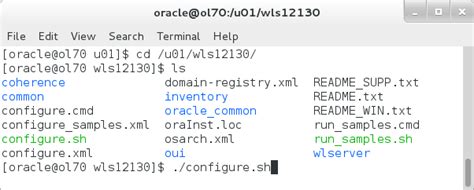 Oracle Weblogic Server Developer Guide Running Weblogic Server On Jdk