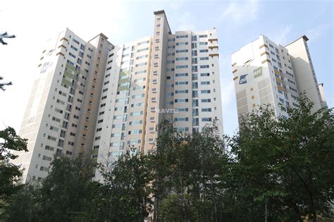 풍동월세 고양시 일산동구 풍동숲속6단지두산위브 5 월세5000만200만원 조정가능인테리어잘된집전망좋고깨끗합니다 풍동6단지월세 풍동6단지 숲속6단지 풍동부동산 풍동