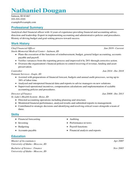 Best Cfo Cv Examples Template And Guide For 2025