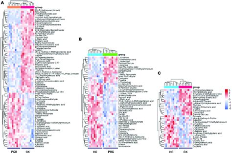 Heatmap Of The Differentially Accumulated Metabolites Dams In Sera Download Scientific