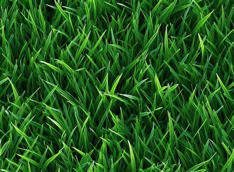 Premium Photo Green Grass Seamless Texture Seamless In Only