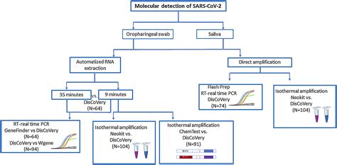 Molecular Detection Of Sars Cov 2 In Argentina Evaluation Of Alternative Diagnostic Tools For