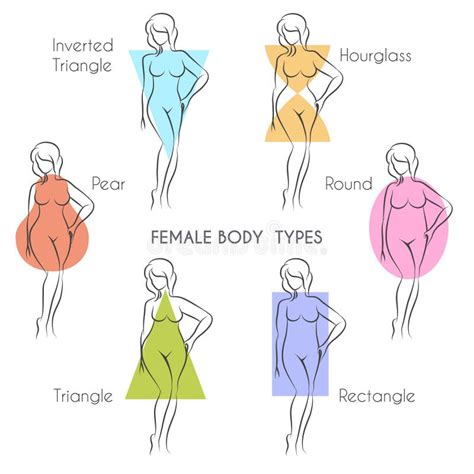 Body Shape Stock Illustrations 160916 Body Shape Stock Illustrations Vectors And Clipart